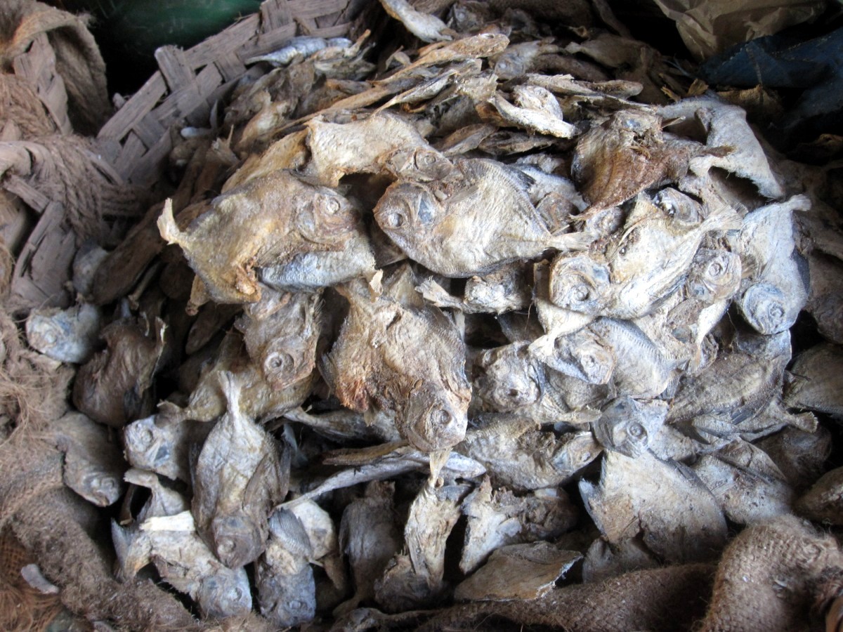 Mangalore Mangalore: Mangalore Dry Fish Market
